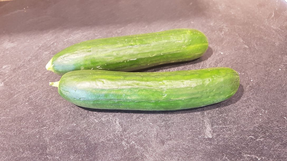 Livraison Lot de 2 mini concombres "Noa" à Saint-Brevin-les-Pins Le ...