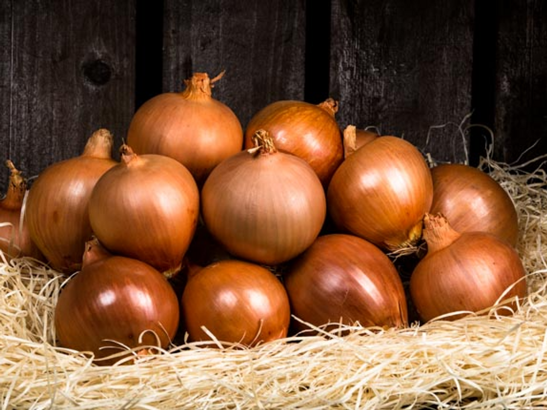 Livraison Oignons jaunes à Paris Primeur des Ternes - Ollca