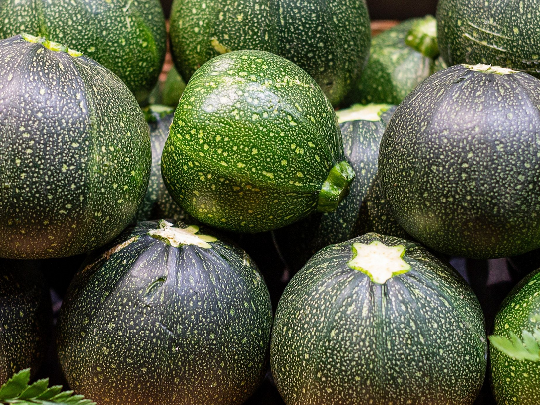 Livraison Courgette ronde à Paris Primeur des Ternes - Ollca