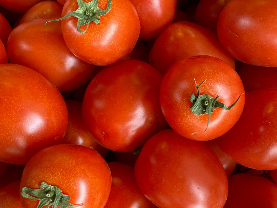 Livraison Tomates Ronde à Rennes Le Primeur Bio Des Halles - Ollca