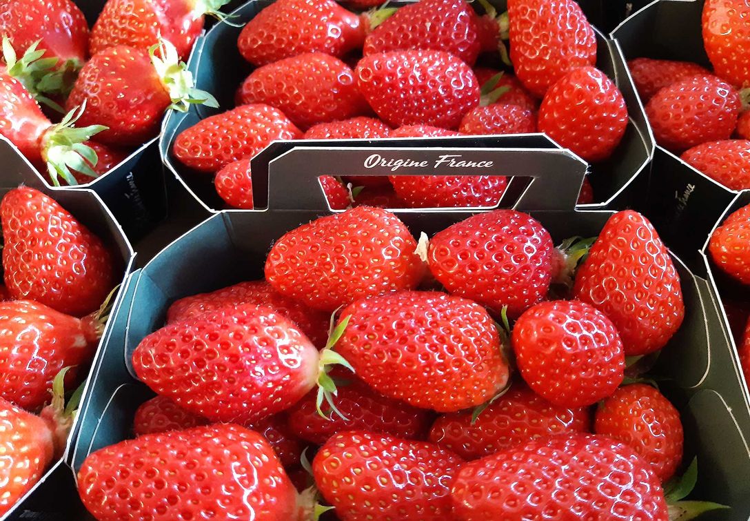 Livraison Fraise Gariguette à Lille Les Vergers Dupré - Ollca