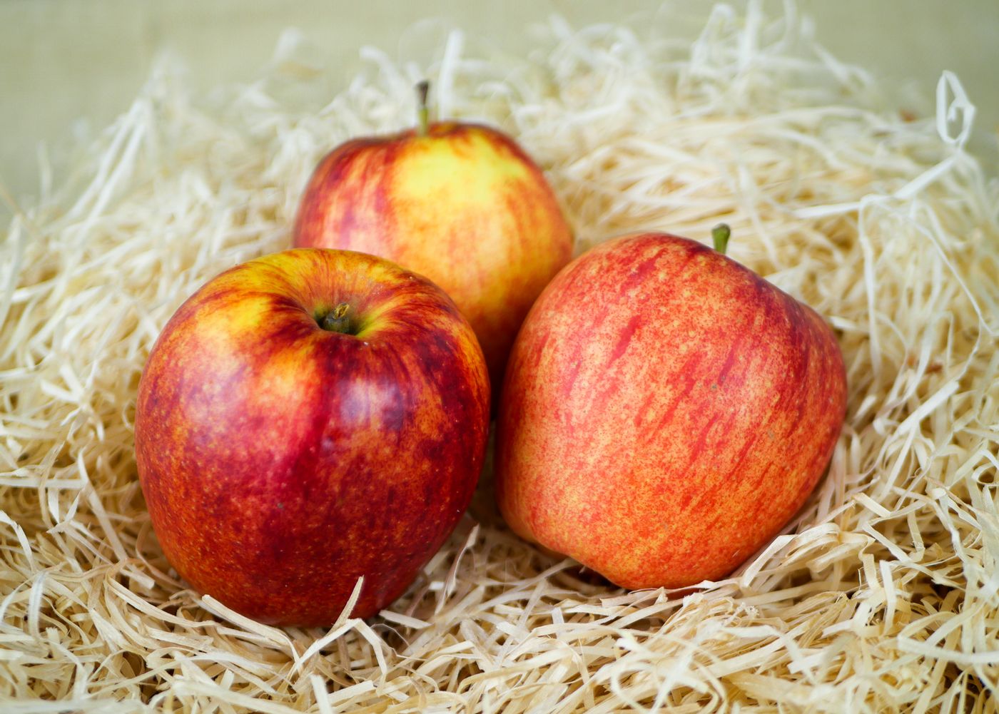 Livraison Pommes Jonagold à Notre-Dame-de-Riez Terre de Vendée - Ollca