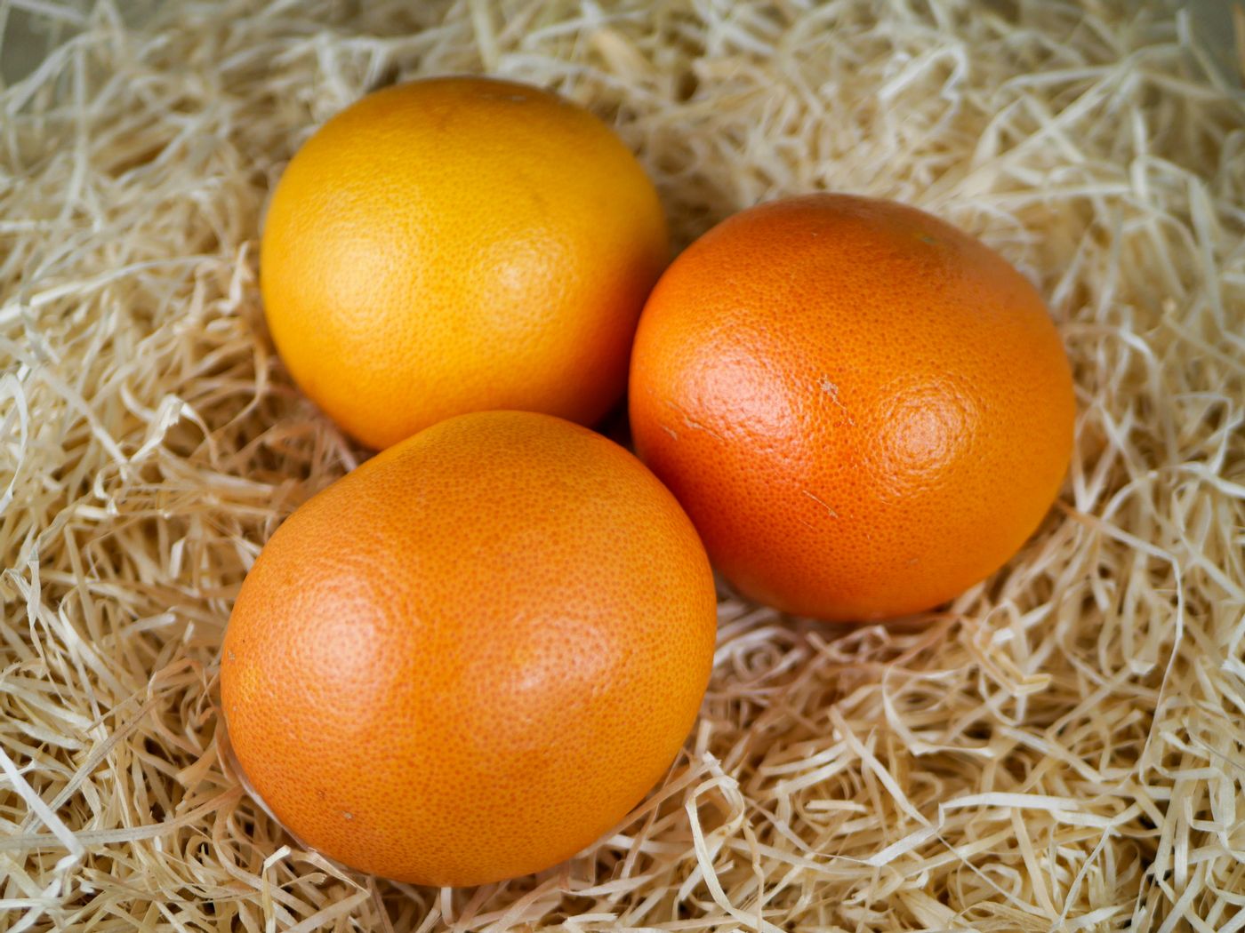 Livraison Pomelo rouge à Paris BG L'Atelier Maraîcher - Ollca