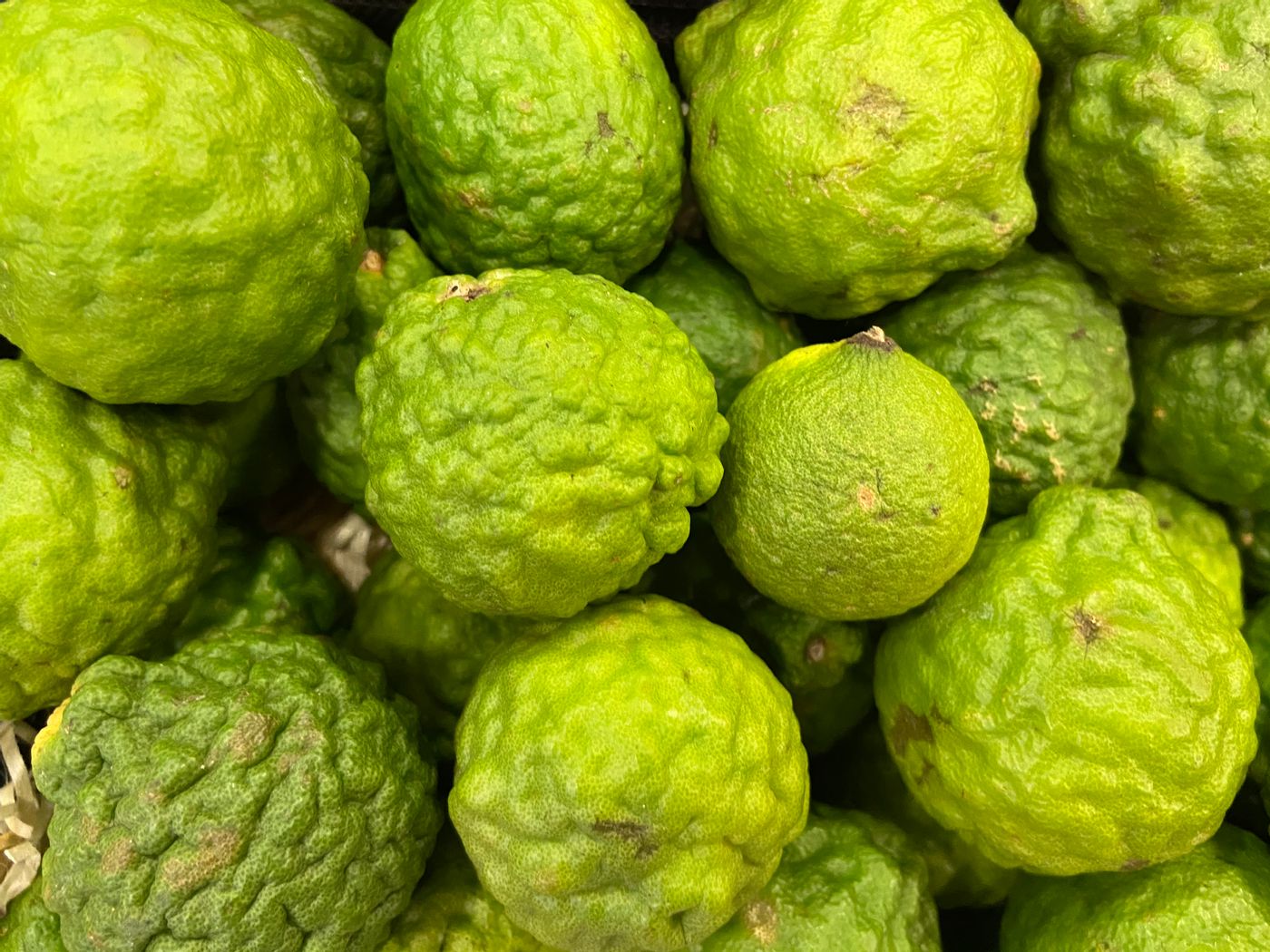 Livraison Citron combava à Rouen Le 5 - Fruits et Légumes - Ollca