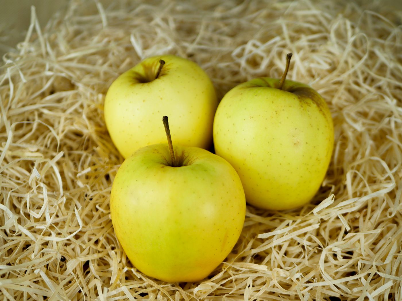 Livraison Pommes Golden à Lyon Ma Petite Fourmi - Ollca