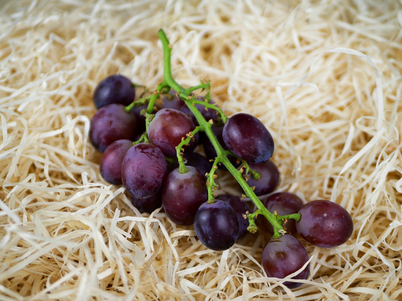 Click & collect Raisin rosé sans pépin à Saussay Prim'Fruits - Ollca