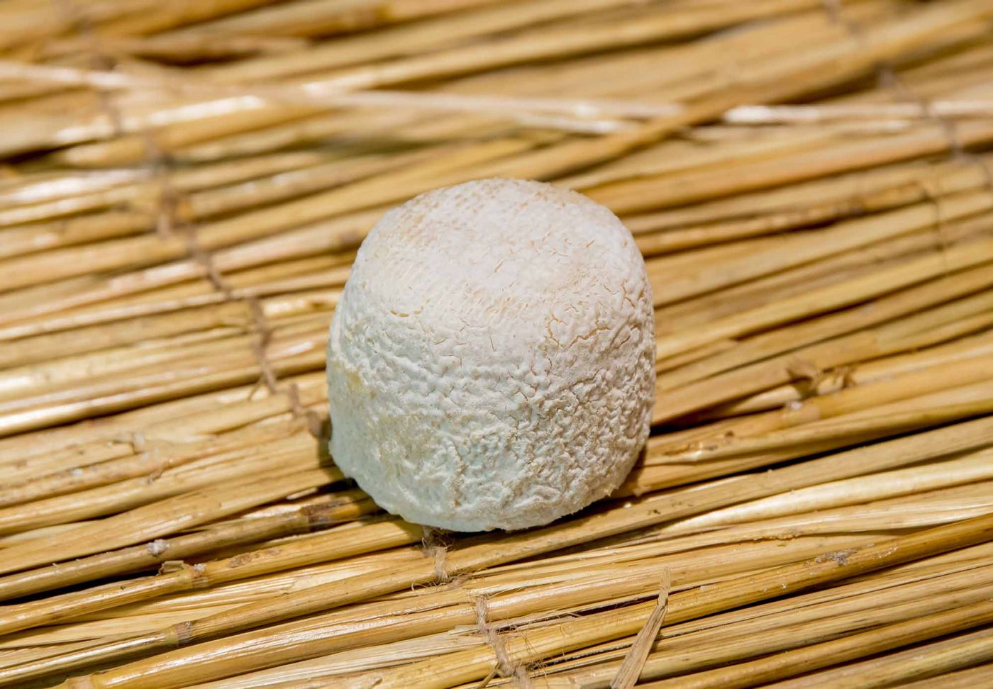 Livraison Crottin de Chavignol Fermier à Levallois-Perret Fromagerie Le ...