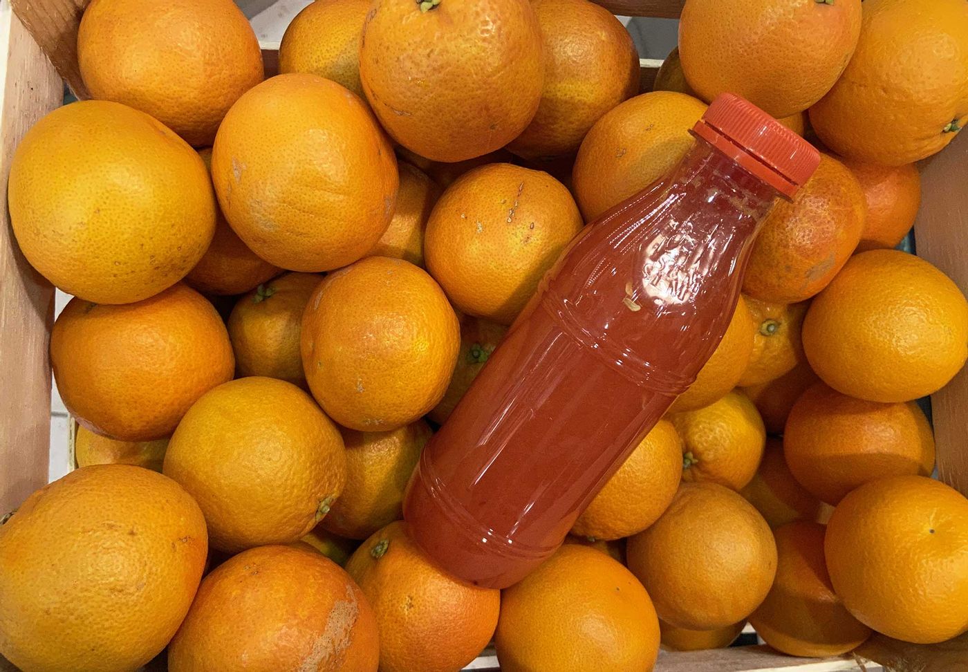 Livraison Jus d'orange pressé BIO - 500 ML à Rouen Le Palais du fruit ...