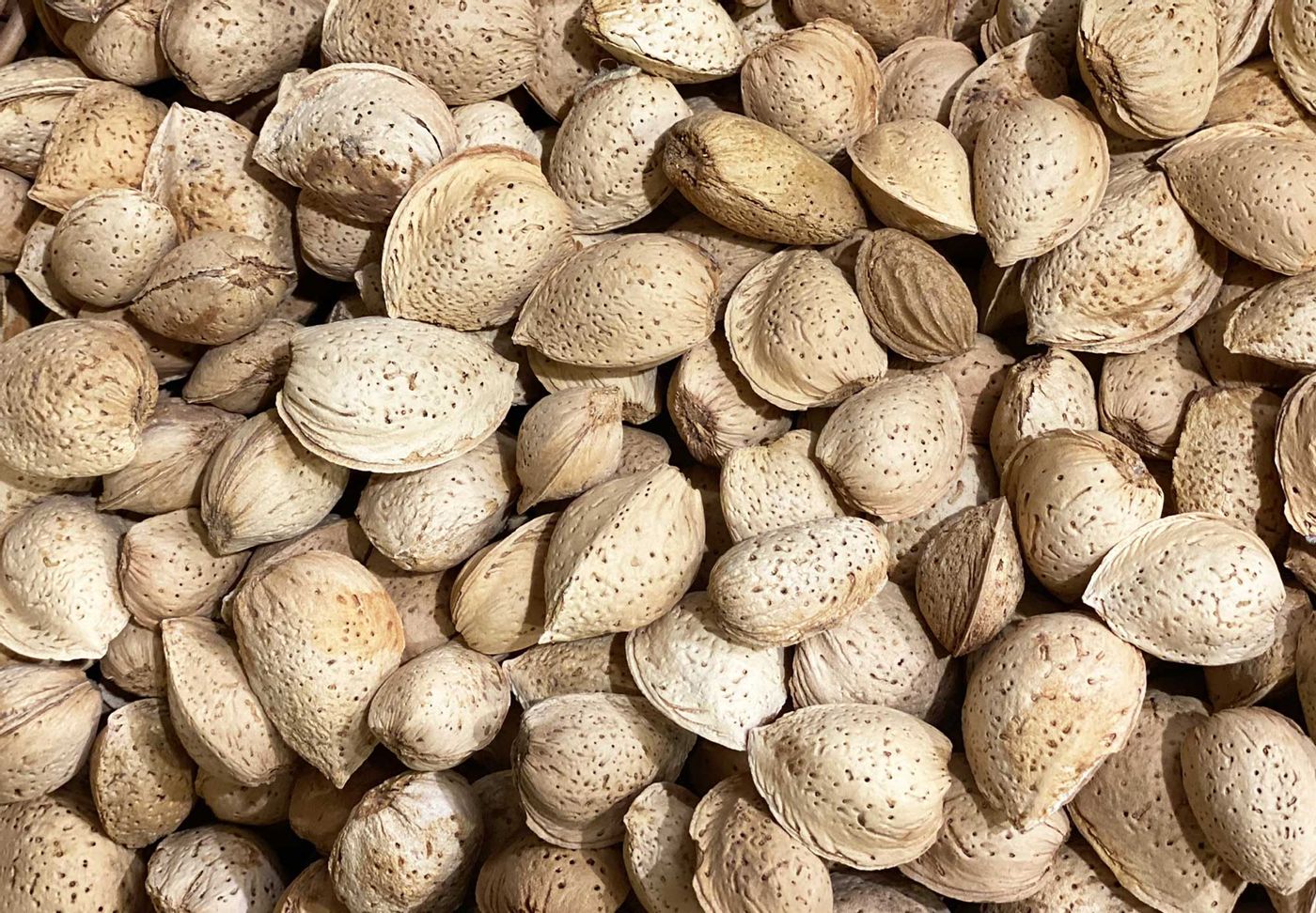 Livraison Amande coque à Rouen Le Palais du fruit - Ollca