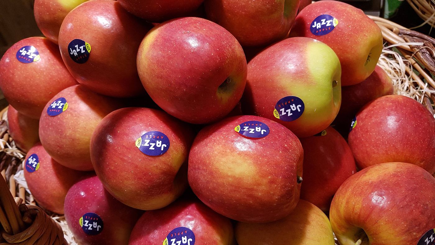 Livraison Pomme Jazz à Saint-Brevin-les-Pins Le Verger de Saint-Brevin ...