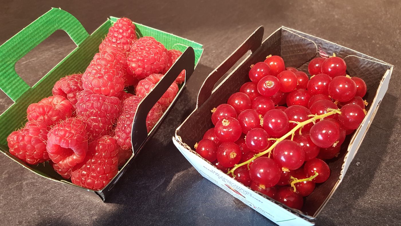 Click & collect Lot de 2 petits fruits rouges ( framboise / groseille ...