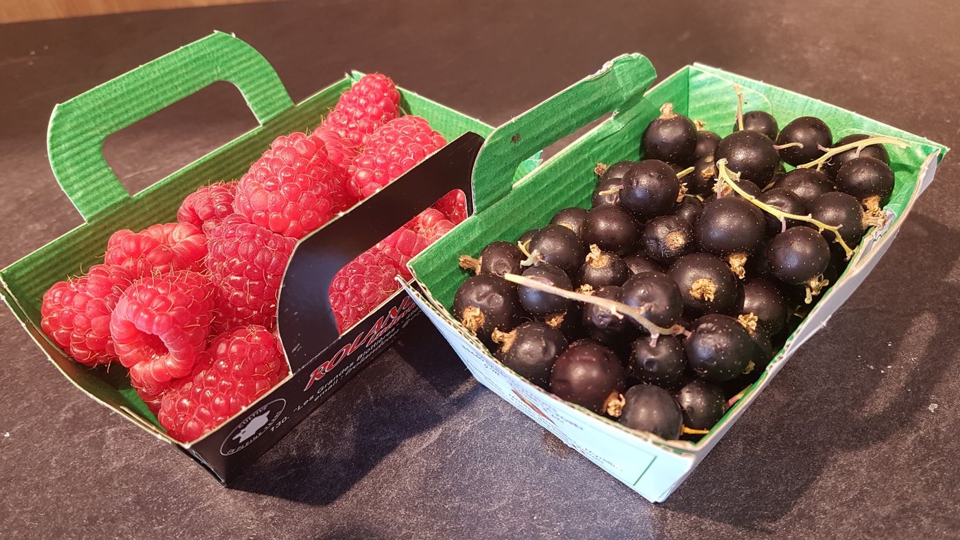 Livraison Lot de 2 petits fruits rouges ( framboise/cassis ) à Saint ...