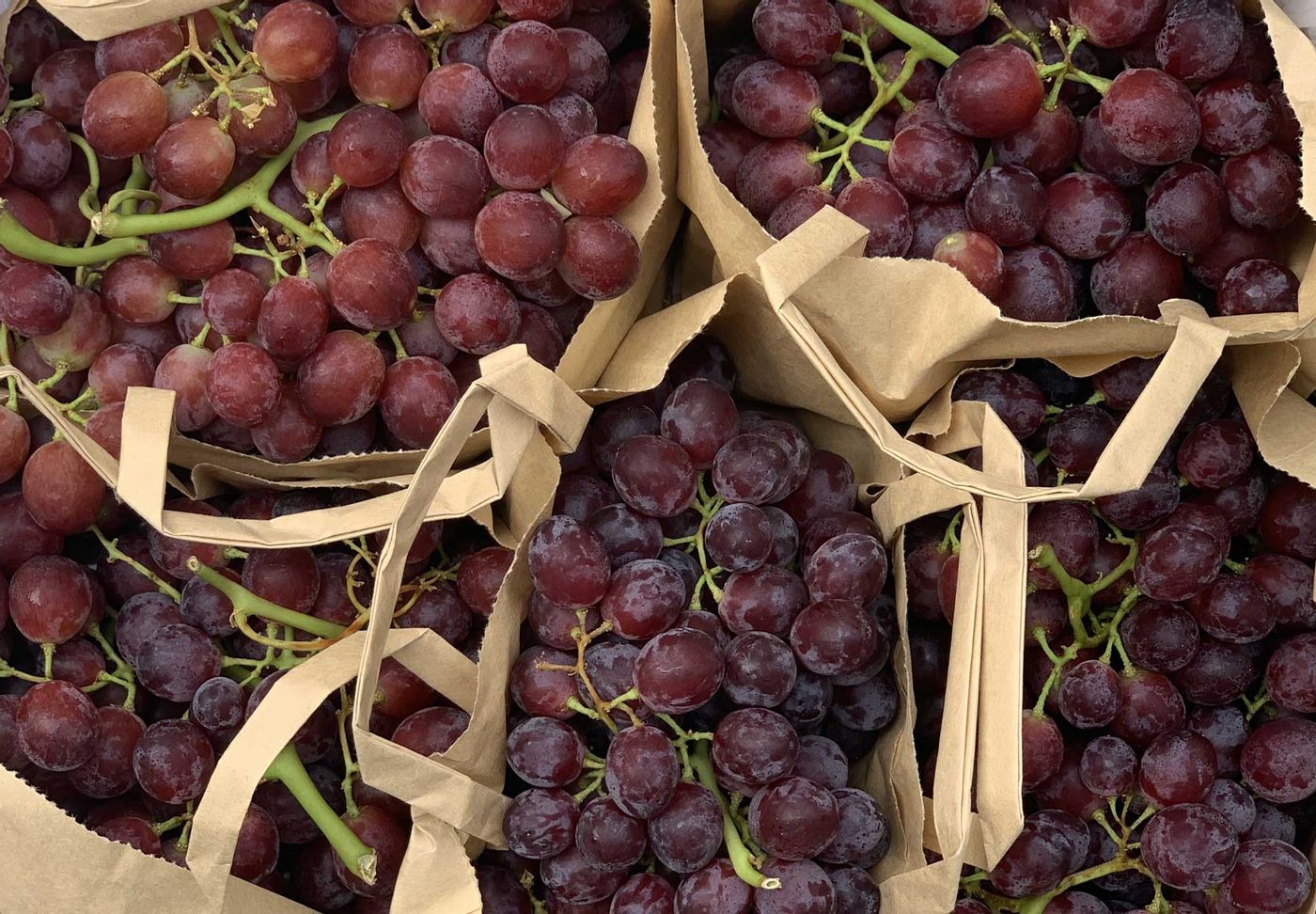 Livraison Raisin Rosé sans pépin à Paris Le Palais du Fruit ...