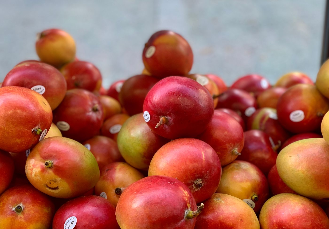 Livraison Mangue Avion Kent à Paris Le Palais du Fruit - Montorgueil ...