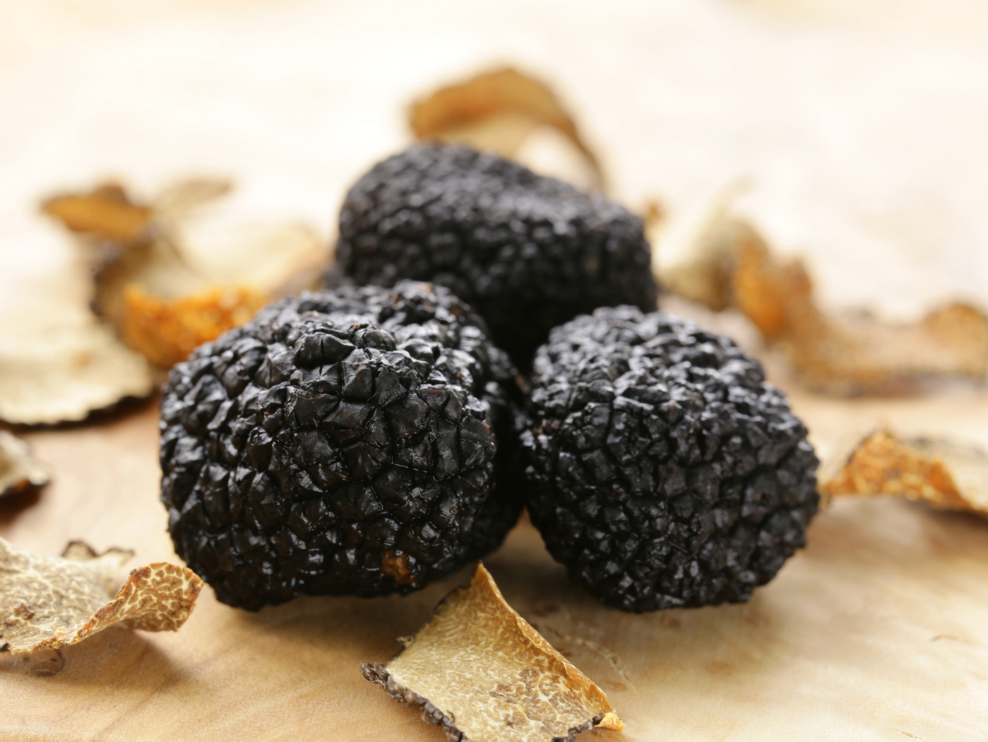 Livraison Truffe noire à Paris BG L'Atelier Maraîcher - Ollca