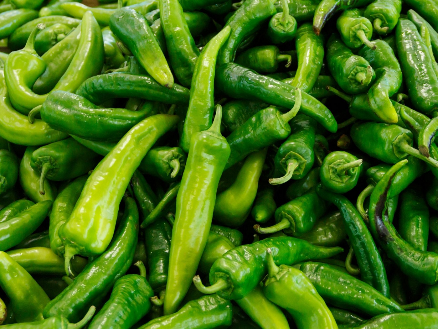 Livraison Piments verts à Vincennes Le Verger du Château - Ollca