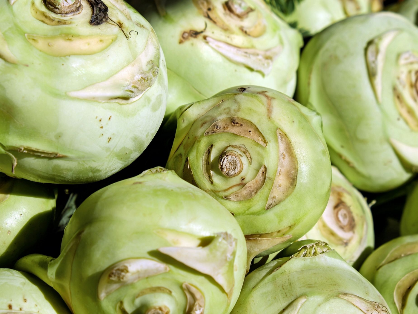 Livraison Chou-rave à Paris Verger des Ternes - Ollca