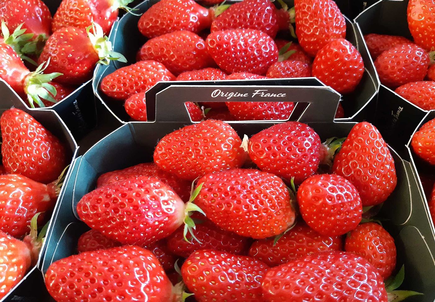 Livraison Fraise Gariguette à Lille Les Vergers Dupré - Ollca