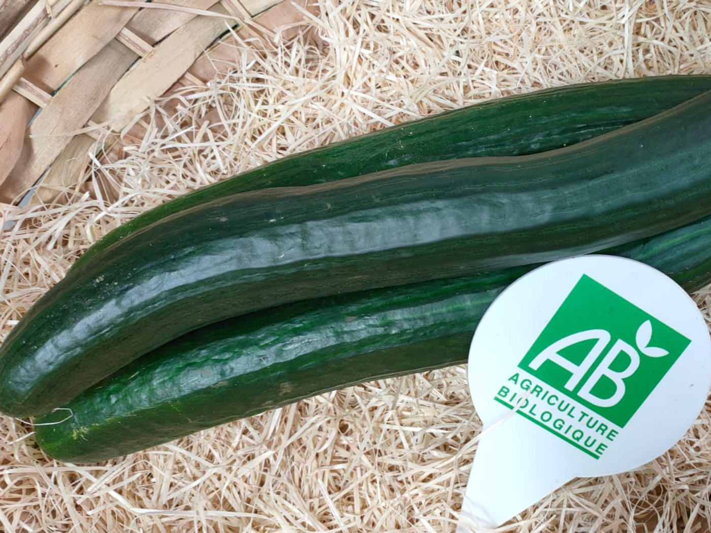 Livraison Concombre long Bio à Bordeaux Au Temps des Fruits - Ollca