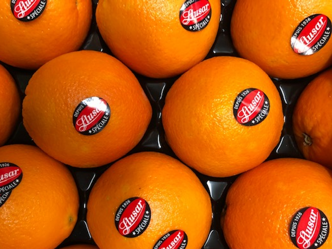 Livraison Orange de table Llusar à Bordeaux Au Temps des Fruits - Ollca