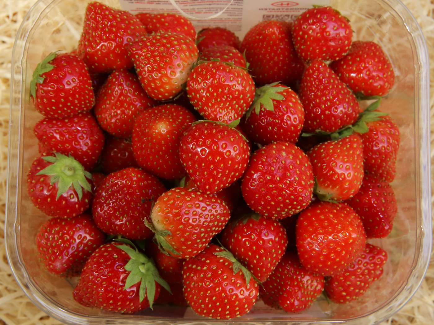 Livraison Fraises belge à Paris BG L'Atelier Maraîcher - Ollca
