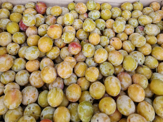 Commandes en ligne Primeur Prim'Fruits à Saussay - Ollca