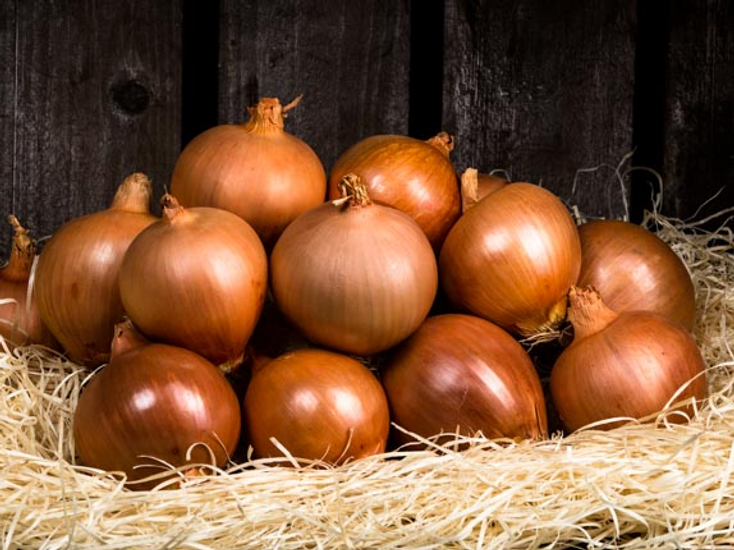 Livraison Oignons jaunes à Paris Lecomte Primeurs - Ollca
