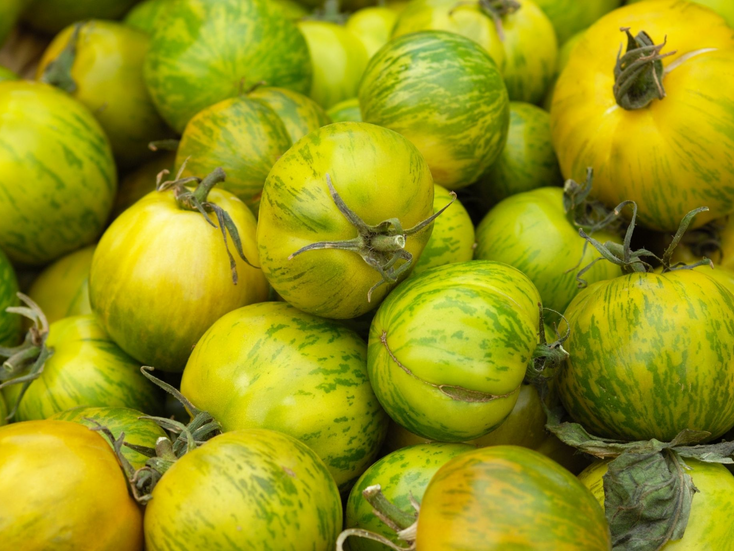Livraison Tomates Green Zebra à Paris Verger des Ternes - Ollca