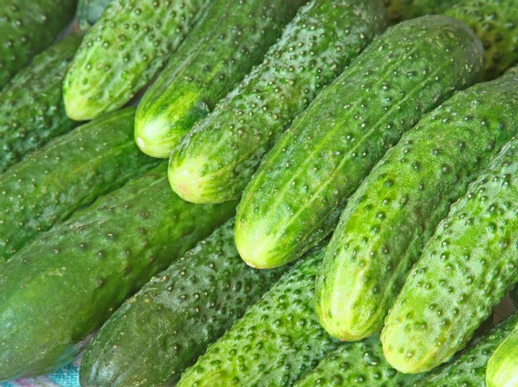 Livraison Concombre Noa à Paris Primeur des Ternes - Ollca