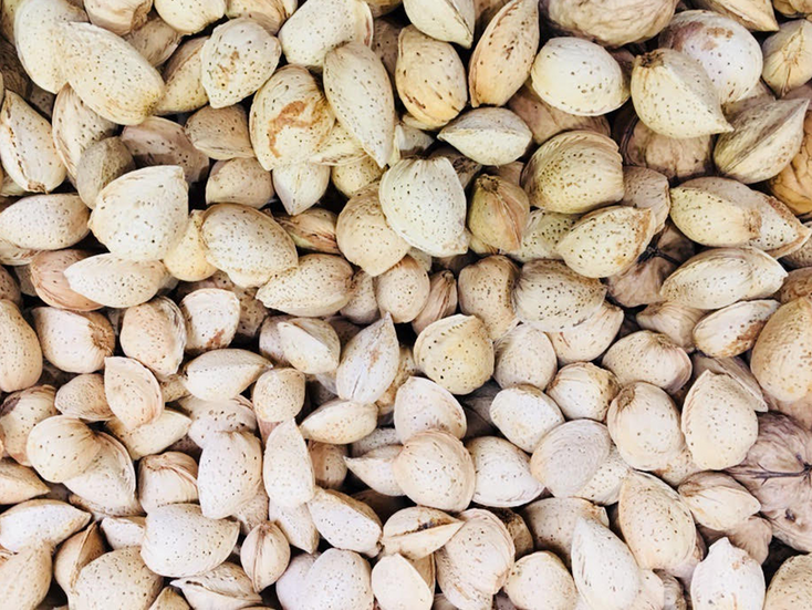 Livraison Amande coque à Bordeaux Au Temps des Fruits - Ollca