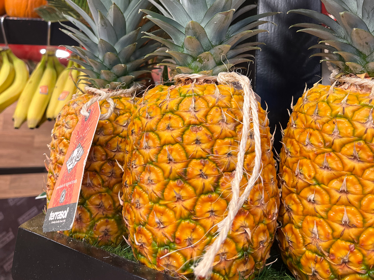 Livraison Ananas avion à Boulogne-Billancourt Le Moulin de Boulogne - Ollca