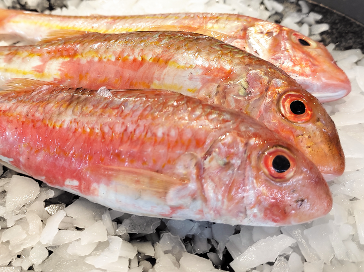 Click & collect Rouget Barbet à Boulogne-sur-Mer Poissonnerie Gourmande ...