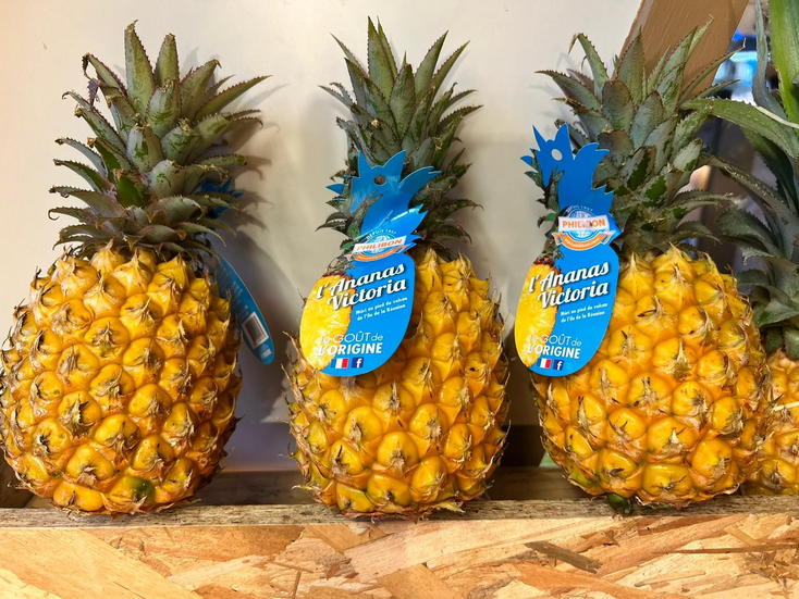 Livraison Ananas Victoria à Rennes L'Île aux Fruits - Ollca