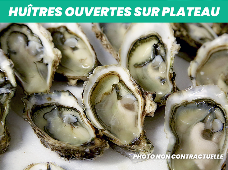 Click & collect Sur plateau- 12 huîtres VERTE de claire à Porte des ...