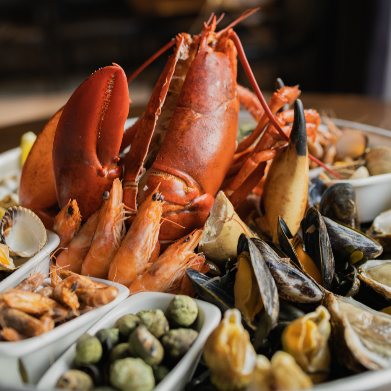 Saison des fruits de mer : quelle est la meilleure période ? - Blog Ollca